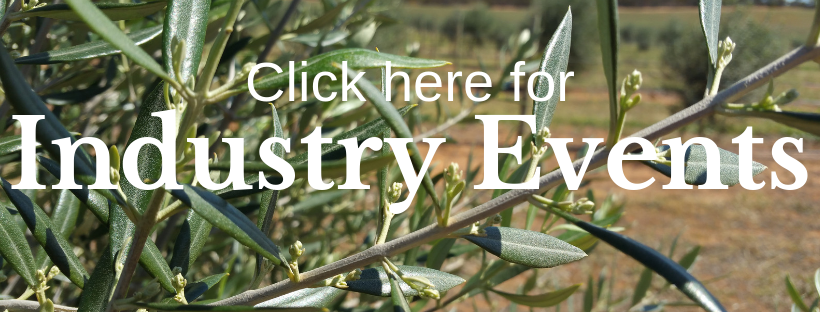 Australian Olives | Olive Pests and Diseases
