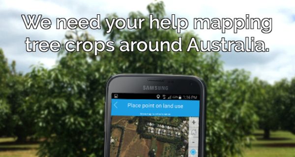 Olive groves on the map! - Australian Olive Association