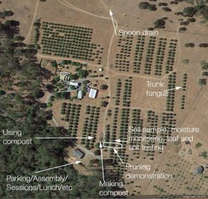 Australian Olives | TAS Healthy Soils Field Day Report