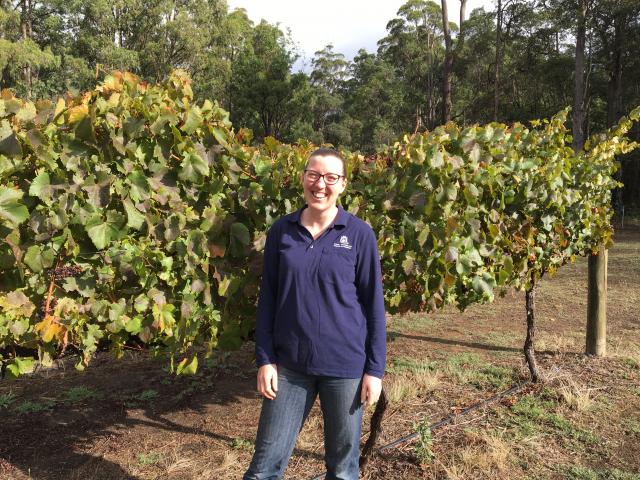 2021 - Australian Olive Association