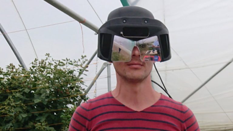 Eyeing a future where fruit pickers are trained by virtual reality ...