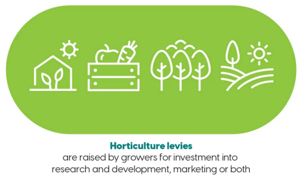 New levies legislation clarifies obligations - Australian Olive Association