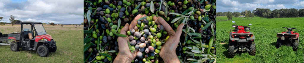 Olive grower’s near-miss a timely reminder during 2025 National Farm ...