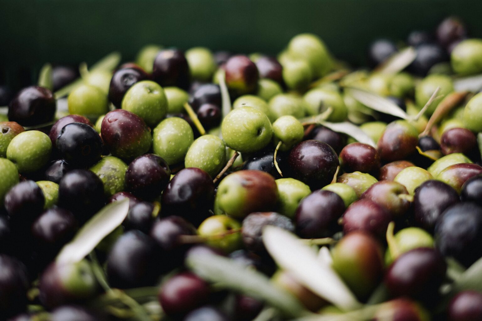 Australian Olive Association – the year in review - Australian Olive ...