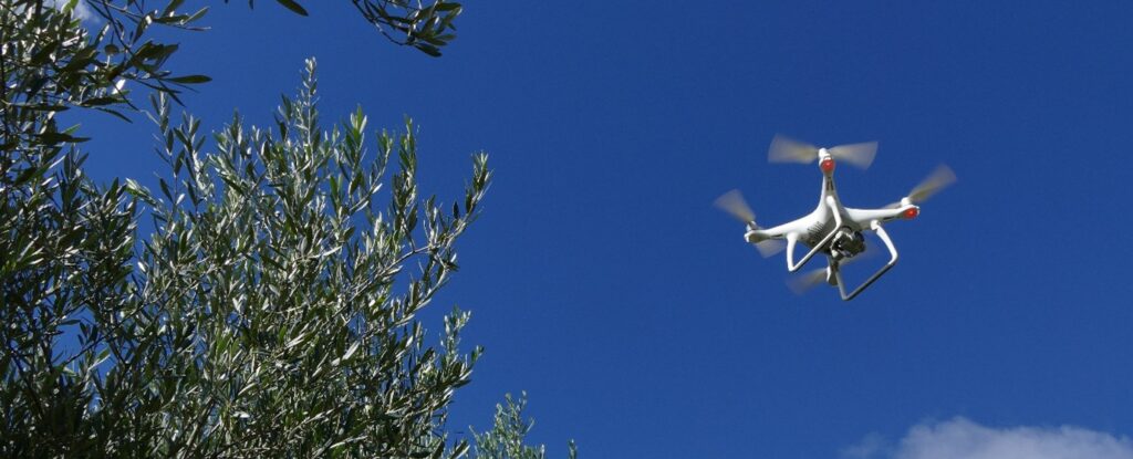Drones vs birds: developing sustainable solutions to crop attack ...